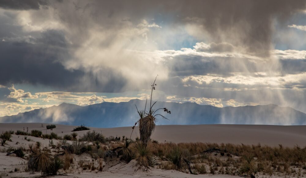 Your Artificial Future is Repulsive: On Climate Change, Data Tech, and ...