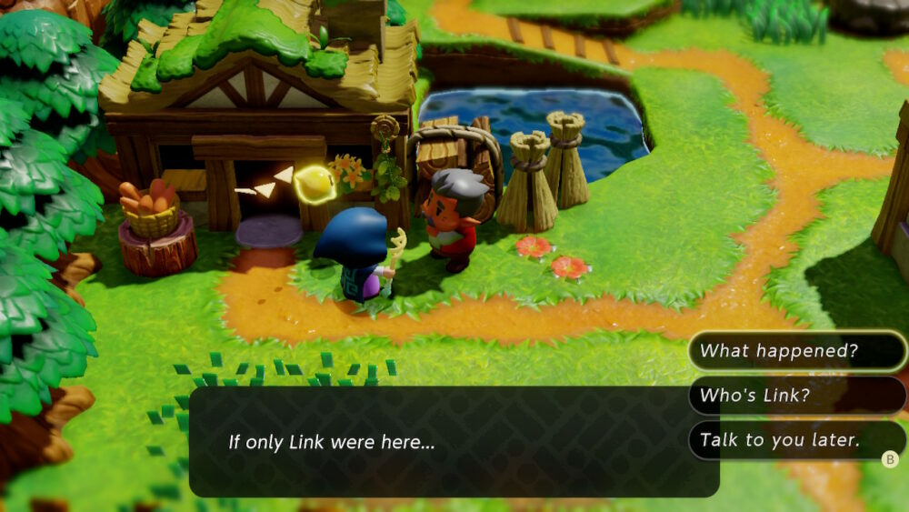 Playing as the Princess: Nintendo, Gender Roles, and Echoes of Wisdom ...