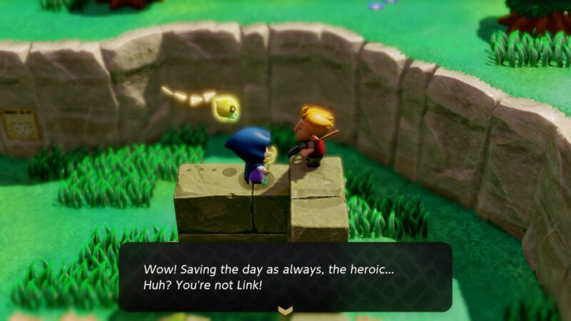 Playing as the Princess: Nintendo, Gender Roles, and Echoes of Wisdom ...